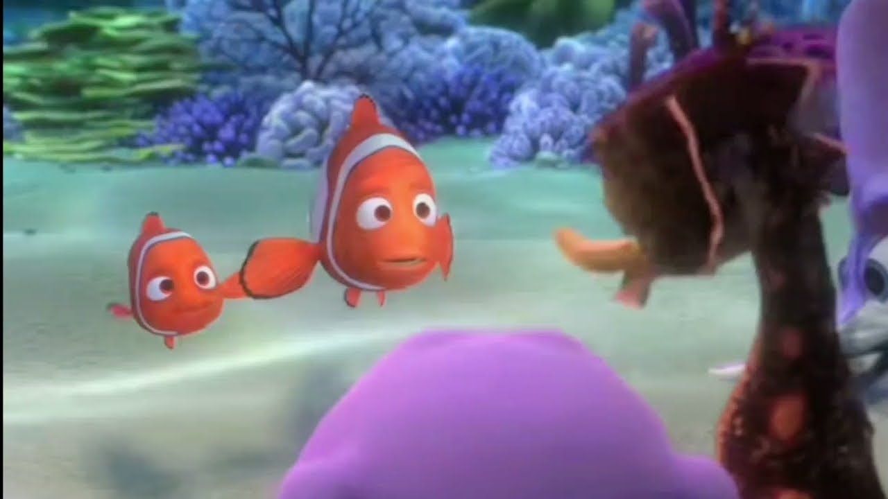 Nemo's first day of school🐠🐚🦑🌊 | Finding Nemo | Clip - YouTube
