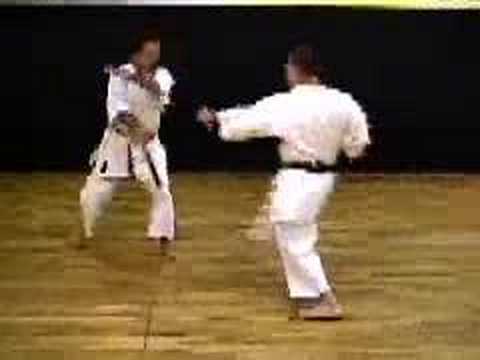 reverse roundhouse - YouTube