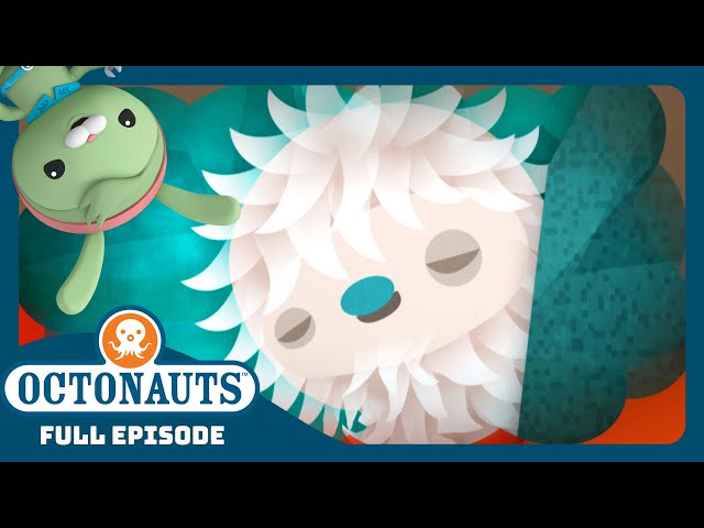 @Octonauts - The Elusive Yeti Crab 🦀 | Season 3 | Full Episode ...