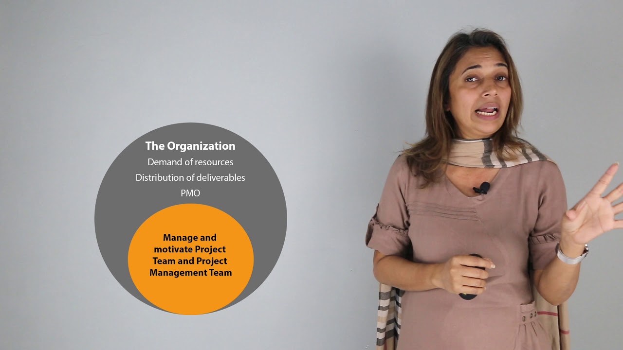 Section 4- Lesson 2: The project manager’s sphere of influence - YouTube