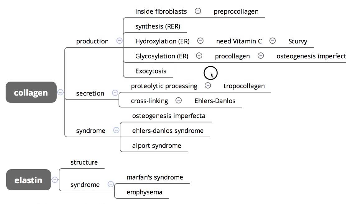 First Aid Biochemistry - Collagen synthesis - YouTube