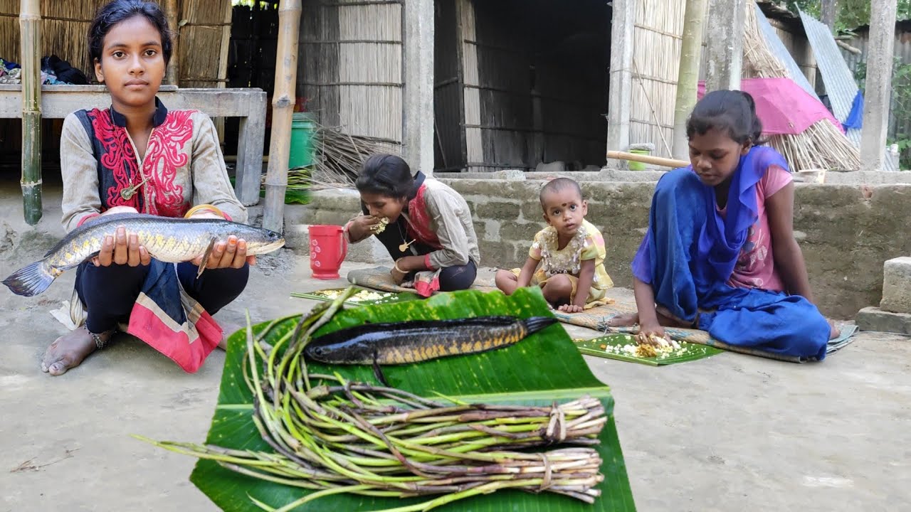 Shol fish cooking recipe with KOCHUR LOTI by santali tribe girl | Rural ...