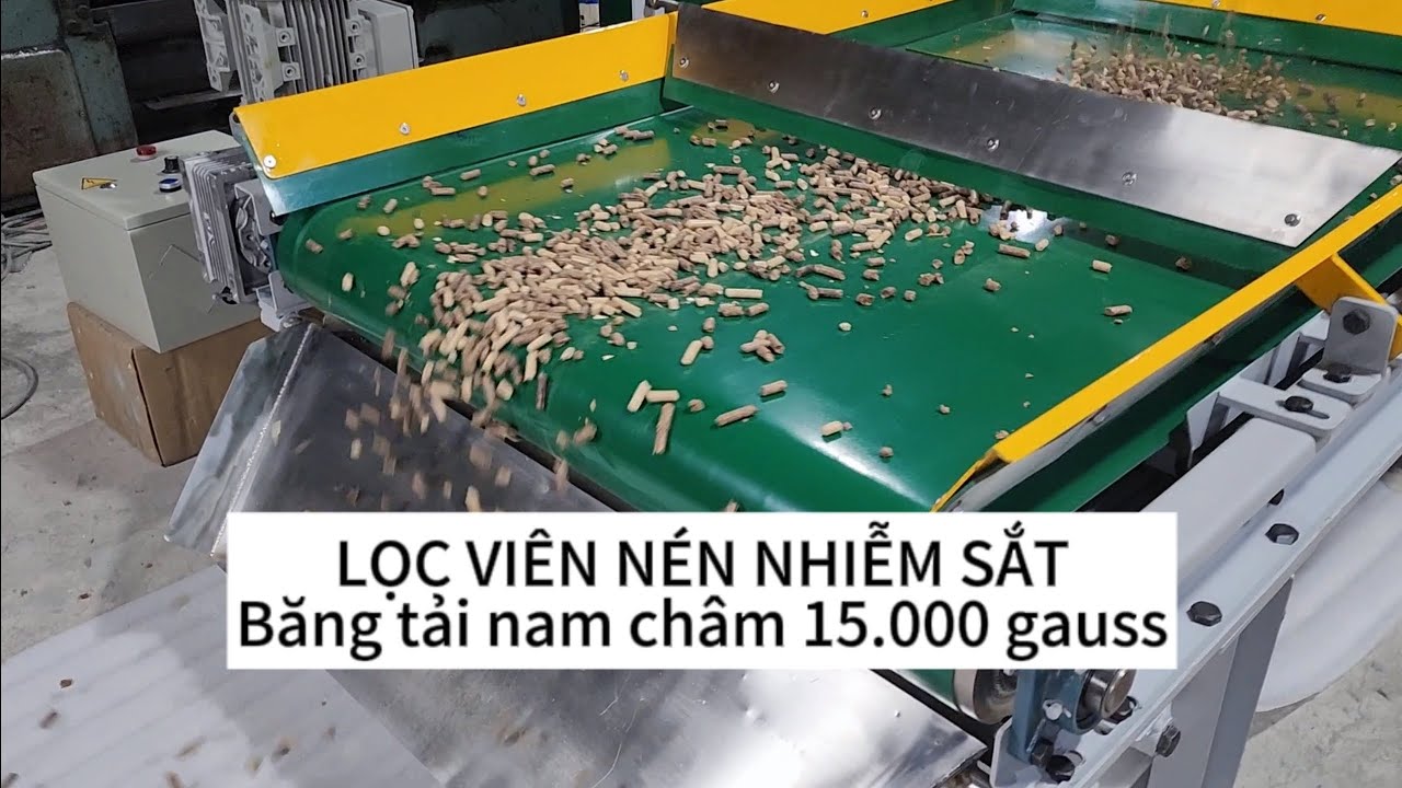 Nam châm lọc viên nén nhiễm sắt B1000mm 15.000 gauss băng tải từ IMAG ...