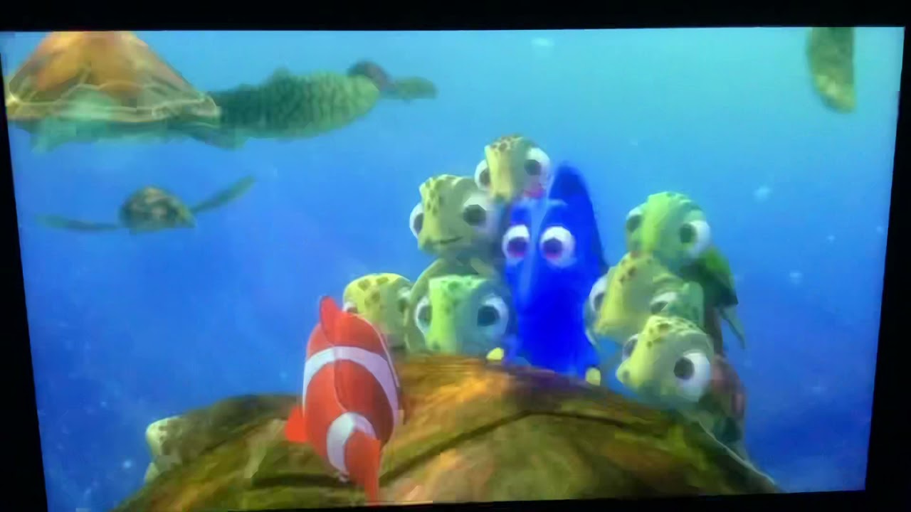 Finding Nemo P Sherman