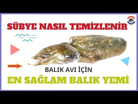 SÜBYE TEMİZLEME VE KULLANIMI