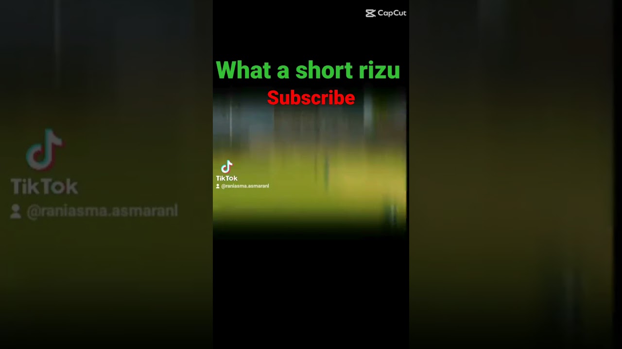 WHAT A SHORT M RIZU 👿😎😃😱😁😂🌷😘🙏🤐💔💓💓🏏😈 Realtime YouTube Live View Counter ...