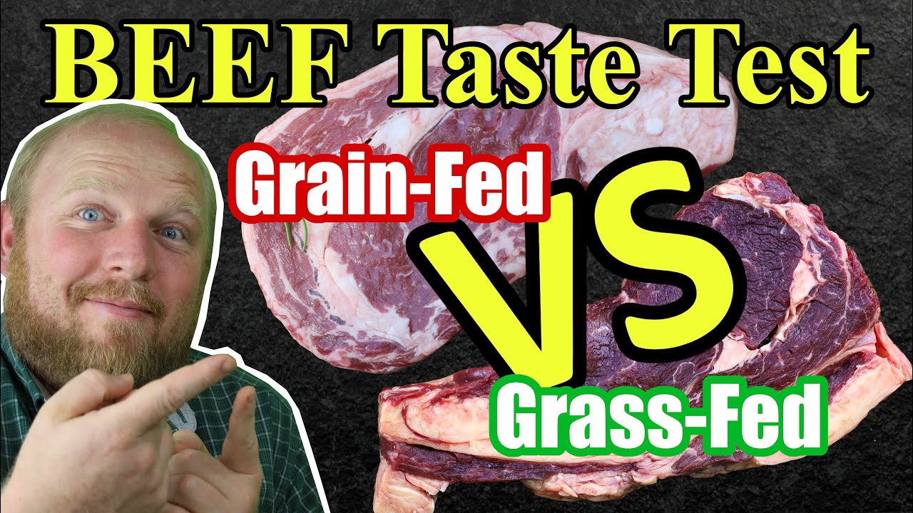 Taste Test: Grain-Fed Beef VS Grass-fed Beef, Family & Friends give ...