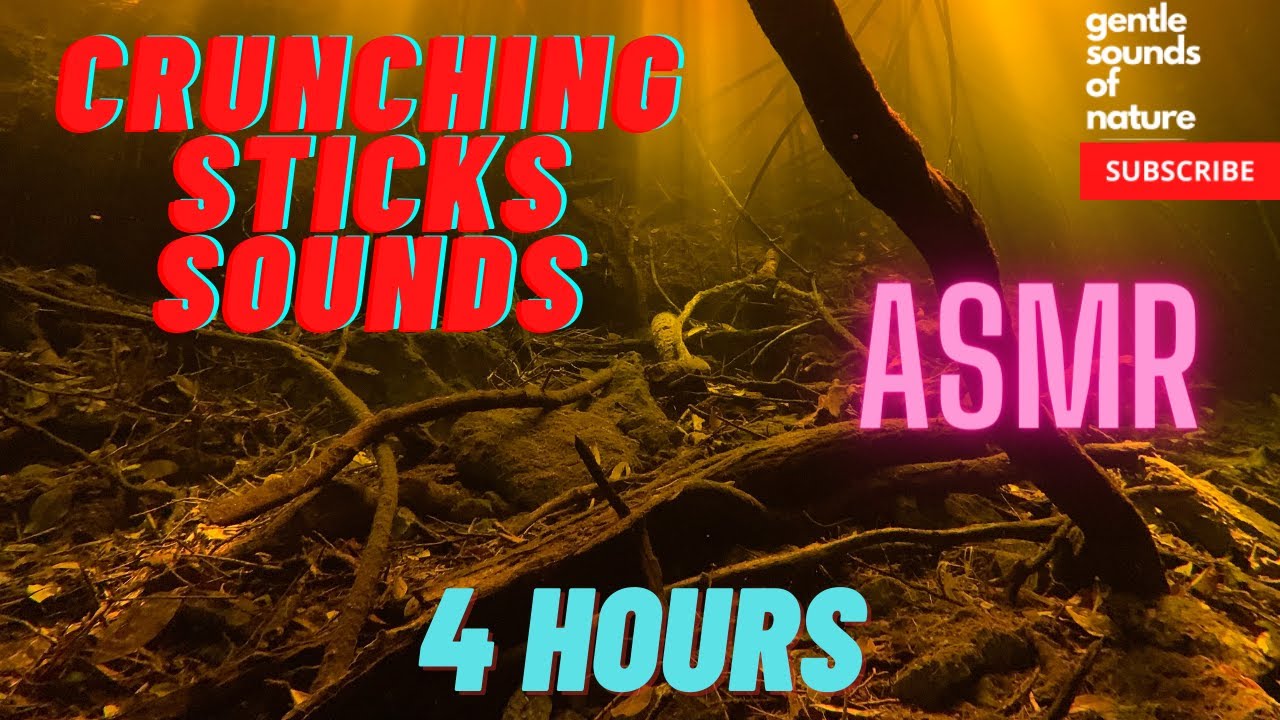 Crunching Sticks ASMR Sounds (4 hours) - YouTube