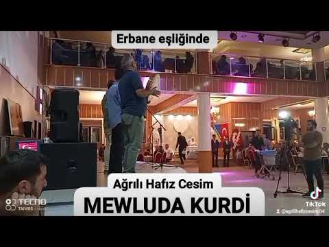 Kürtçe mevlid-i şerif ERBANE def eşliğinde Ağrılı Hafız Cesim