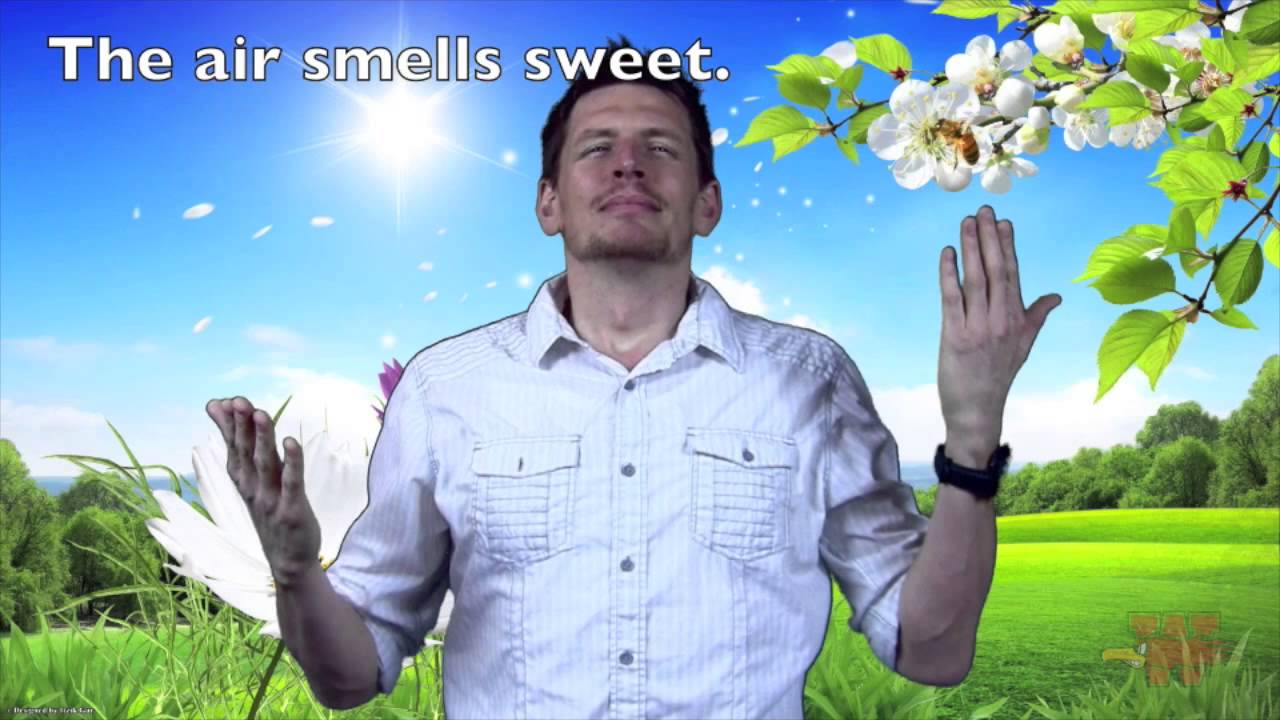 WSD - Springtime Everywhere - ASL - YouTube