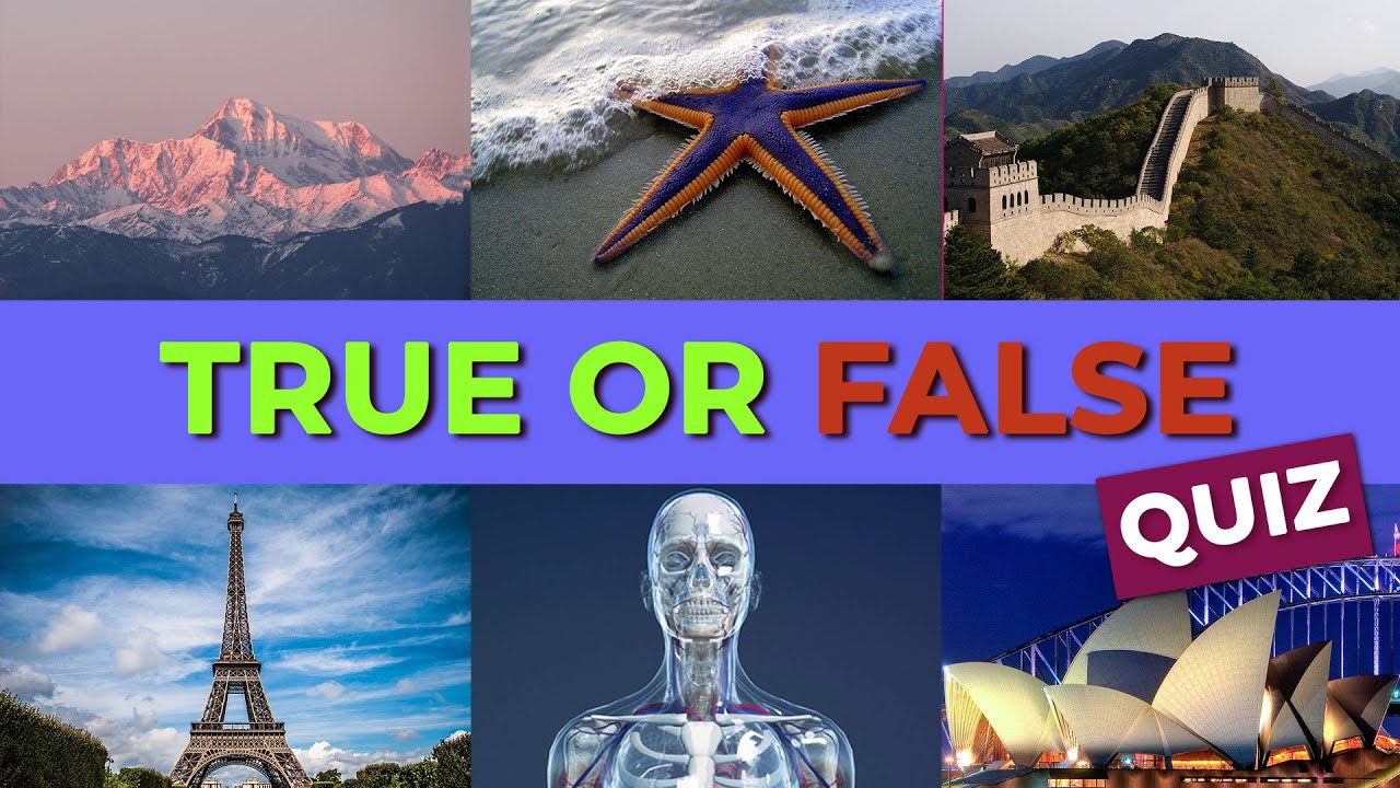 20 Fun True or False Questions - GK Quiz with Answers - YouTube