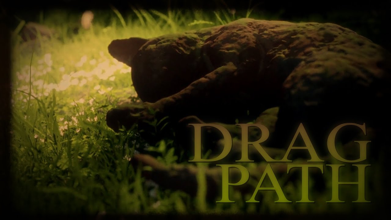 DRAG PATH 🐈‍⬛🌊 [read desc.] - YouTube