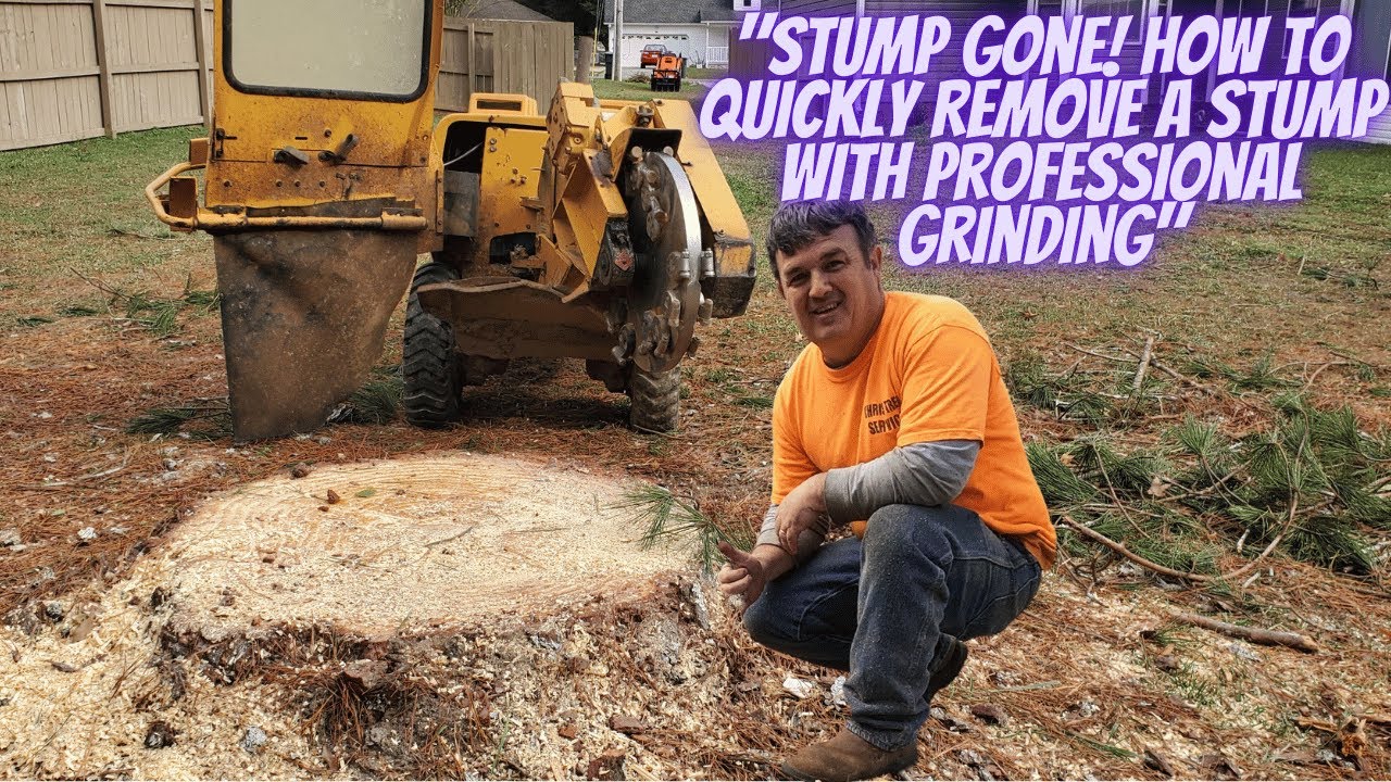 "Stump Gone! How to Quickly Remove a Stump with Professional Grinding ...