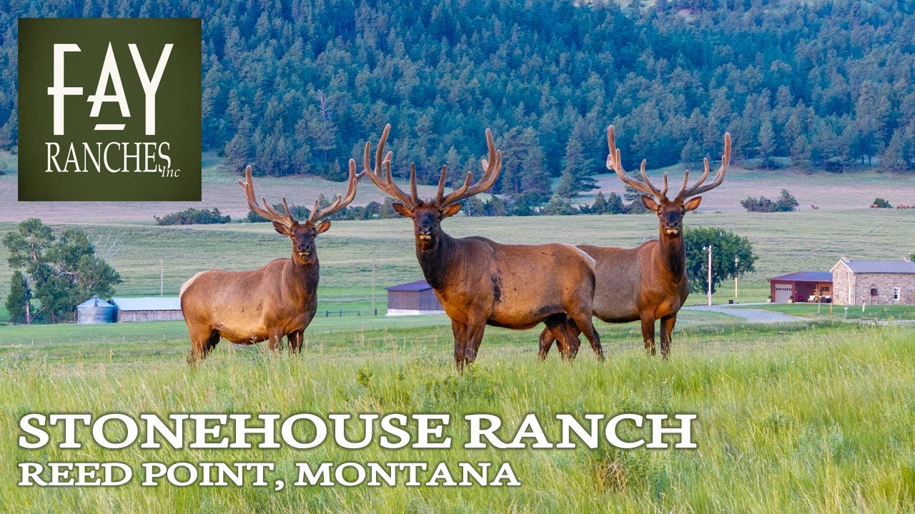 Montana Property For Sale | Stonehouse Ranch | Reed Point, MT - YouTube