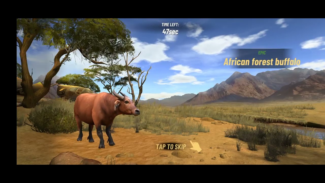 Hunting Clash-- Epic African Forest Buffalo in Namibia @NGGHOST. - YouTube