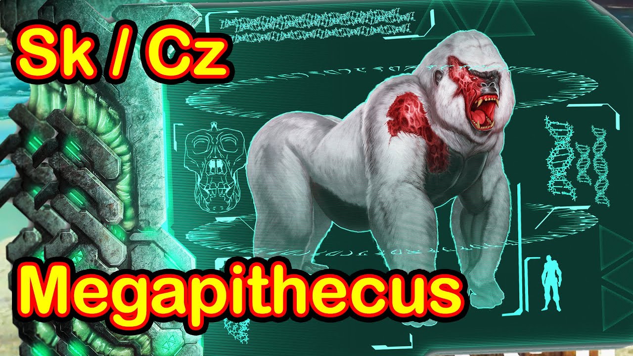 Megapithecus - Ark: Survival Evolved Cz / Sk - Tutorial Návod - YouTube