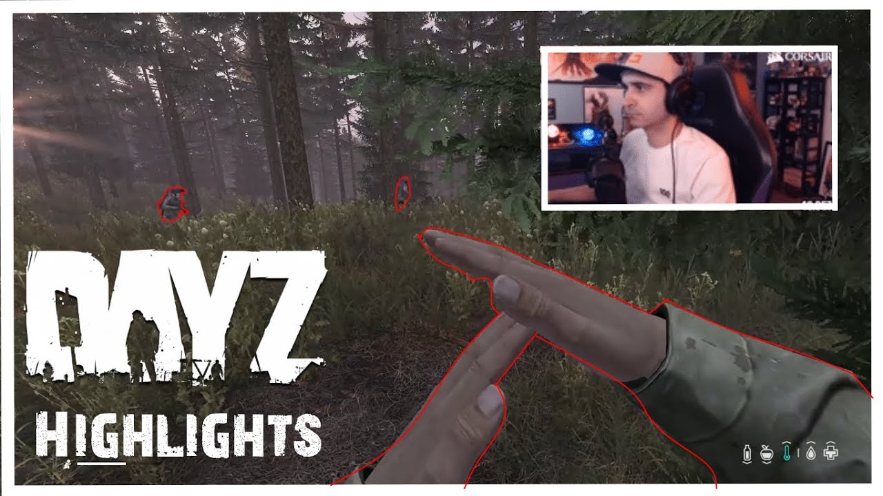 BEST DAYZ TWITCH HIGHLIGHTS! EPIC & FUNNY MOMENTS #24 - YouTube