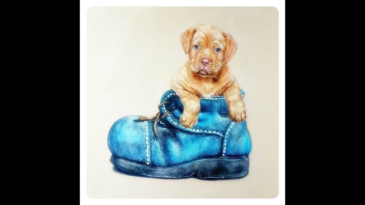 Cush Rutter - YouTube