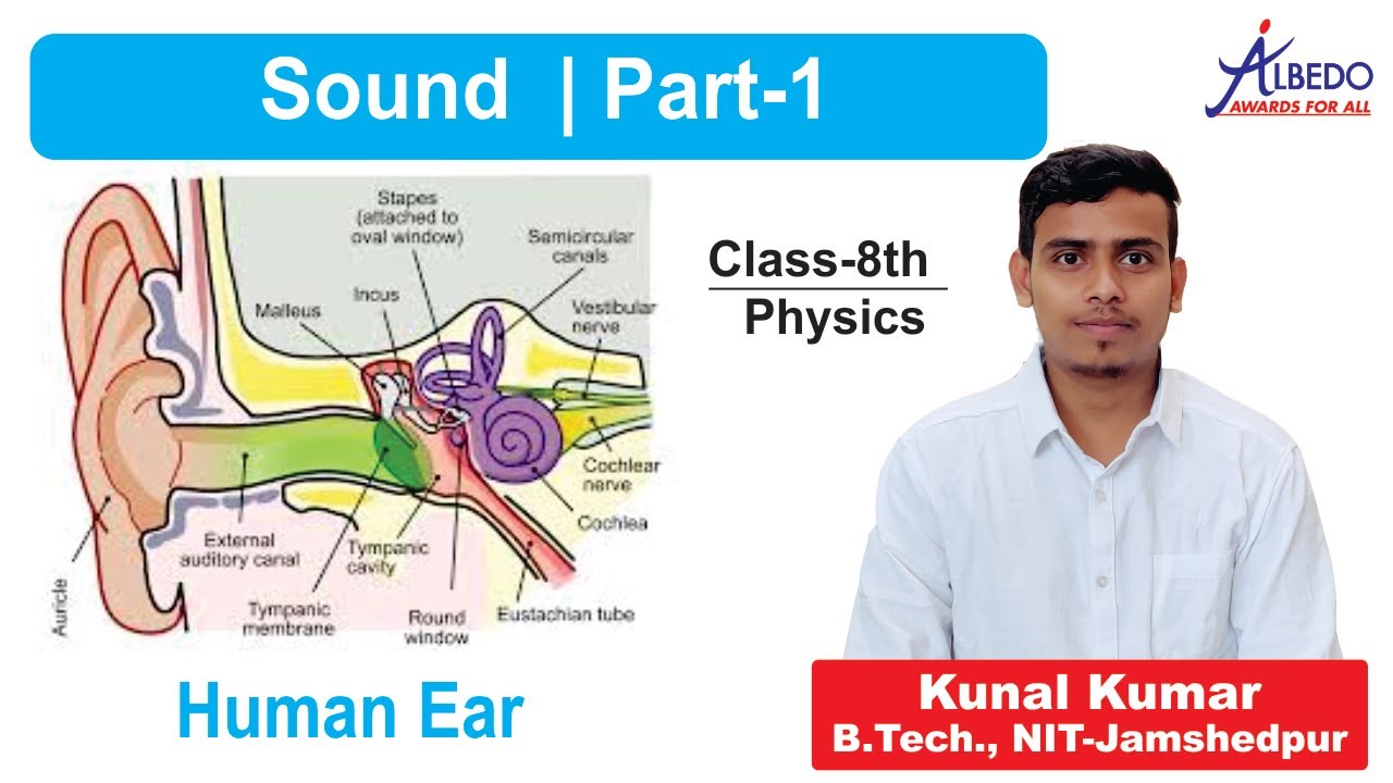 Sound | Part-1| Human Ear | Class-8 | Physics | NTSE | OLYMPIAD | IIT ...