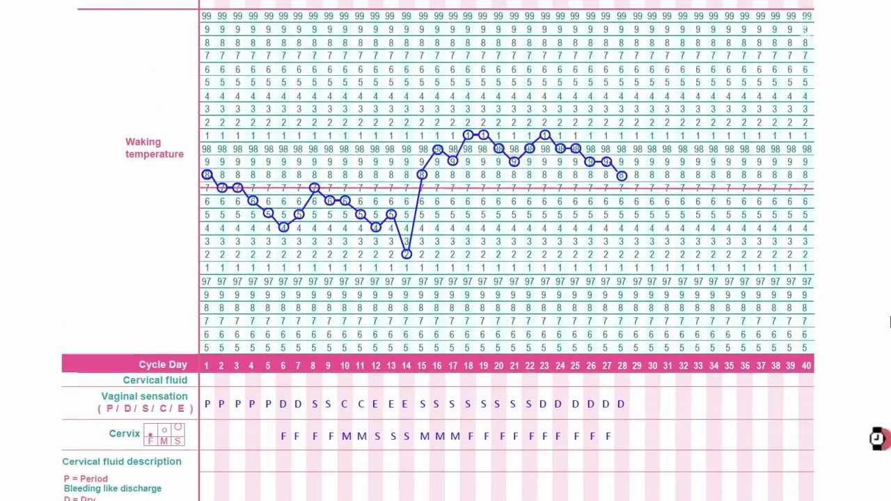 PregnancyChat: Fertility Chart - YouTube