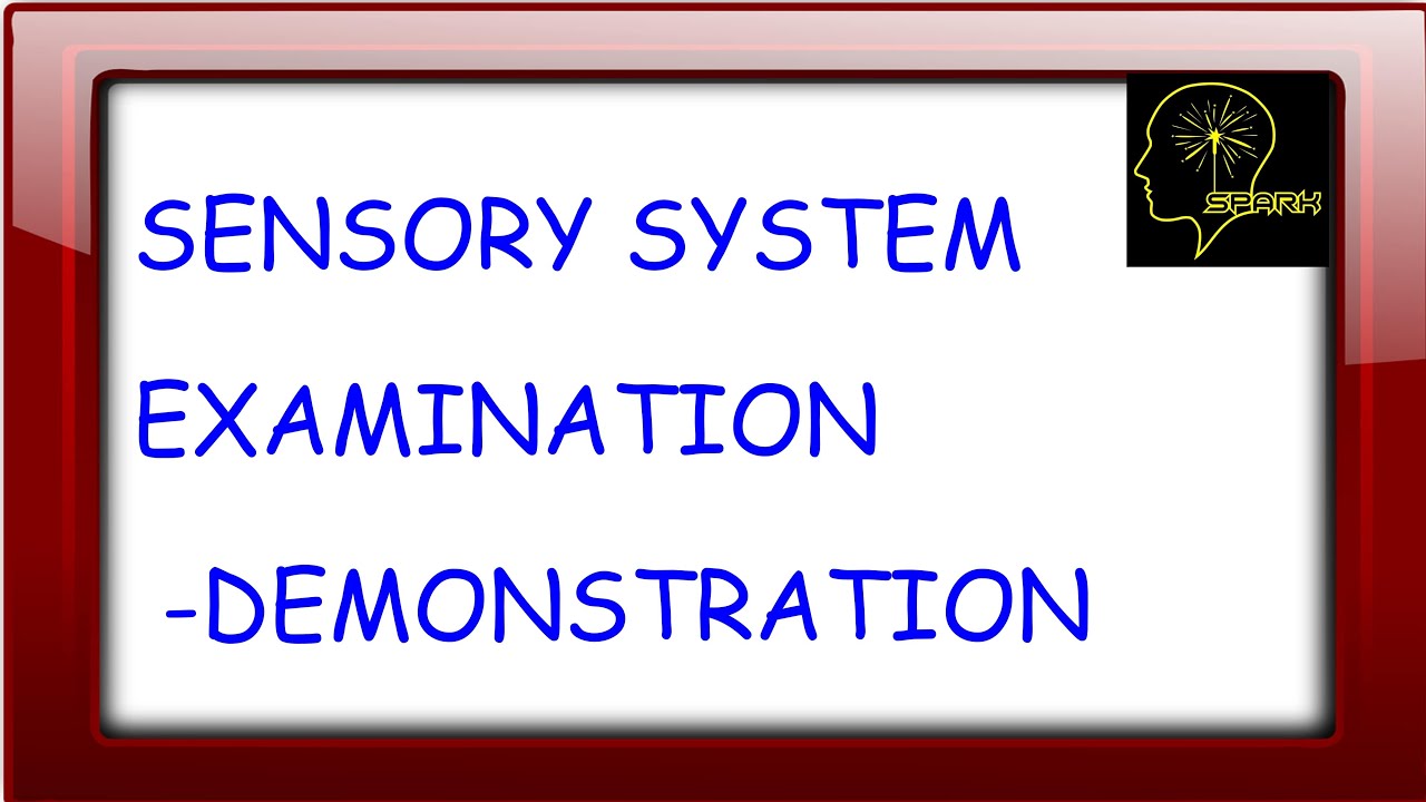 SENSORY SYSTEM EXAMINATION - NEUROLOGY - DEMONSTRATION FOR MBBS AND MD ...