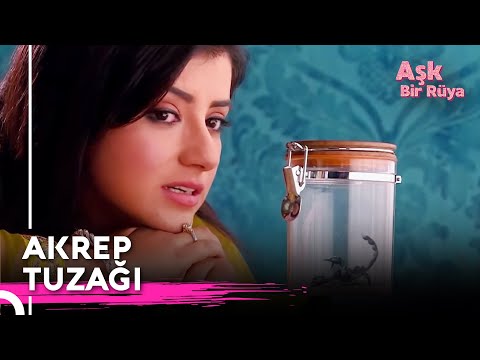 Şankar'ın Thapki'ye Zarar Verme Çabası | Aşk Bir Rüya Hint Dizisi 209. Bölüm