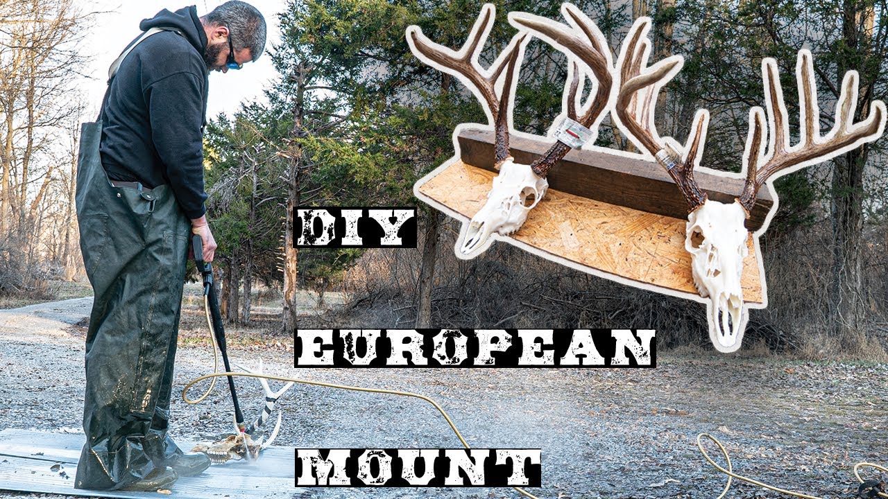 DIY European Mount! Save hundreds of dollars by skipping the ...
