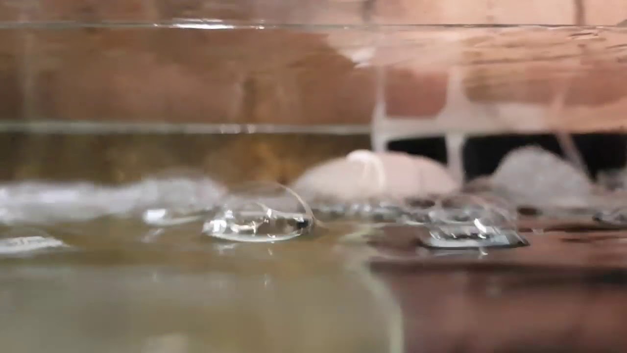 HIGH FLOW Corner HMF (Hamburger Matten Filter) Jet Uplifts - YouTube