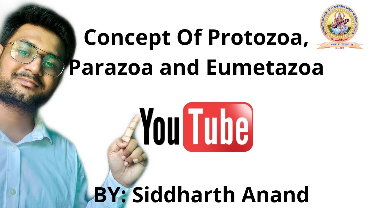 Concept of Protozoa, Parazoa and Eumetazoa by Siddharth Anand #SMDTKM ...