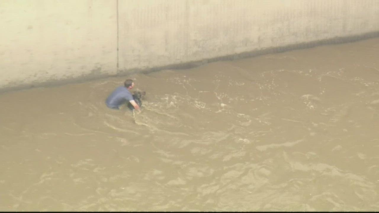 Dog rescue: Multiple people dive into rushing river to help save German ...