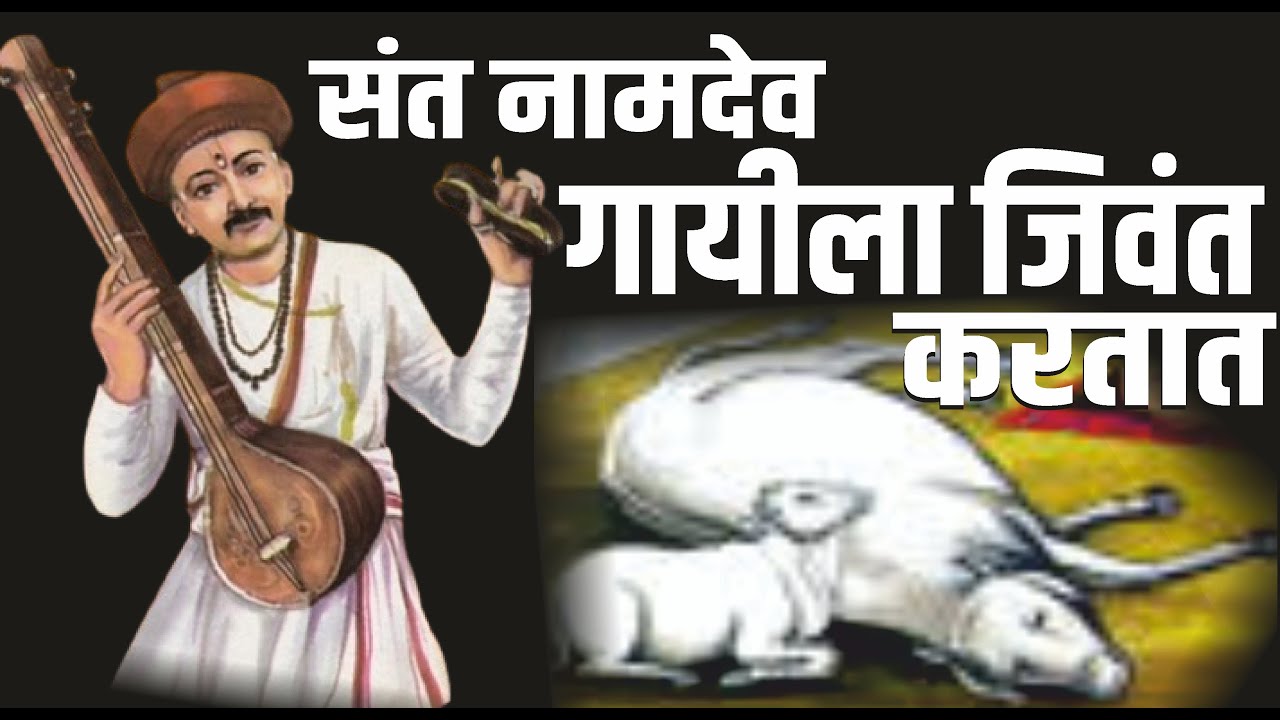 संत नामदेव गायीला जिवंत करतात | Saint Namdev brings a cow to life ...
