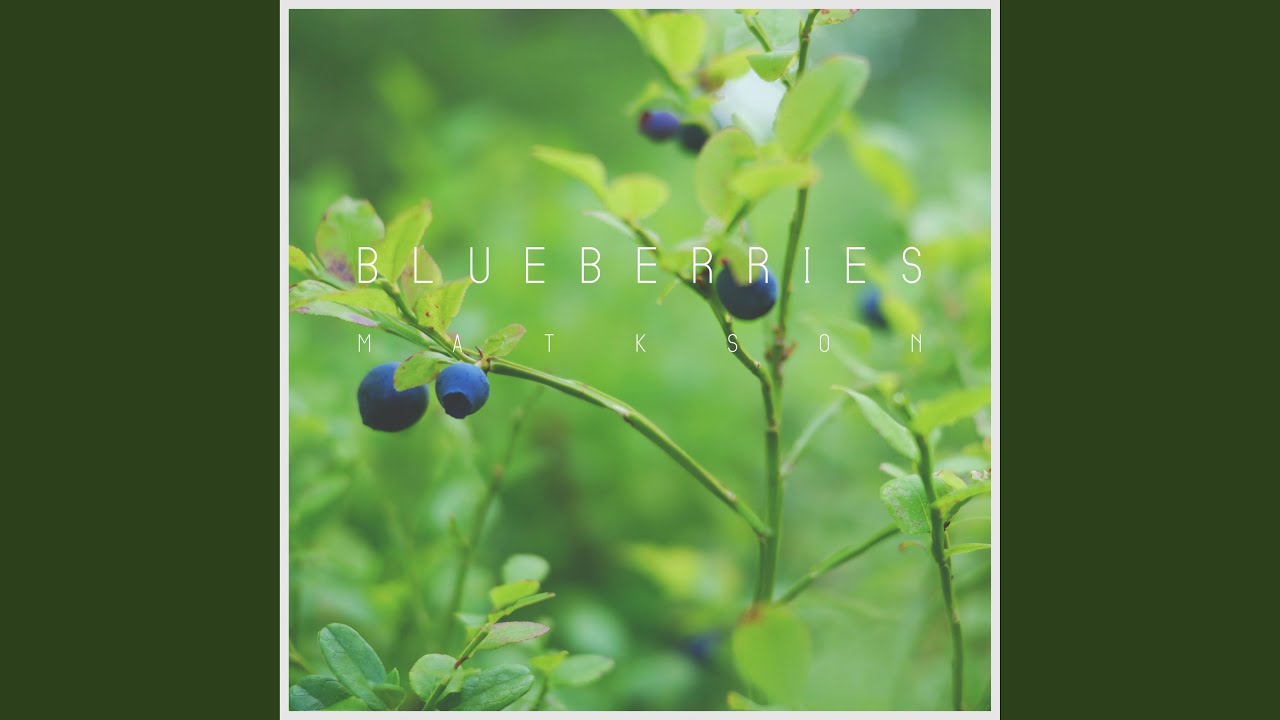 Blueberries - YouTube