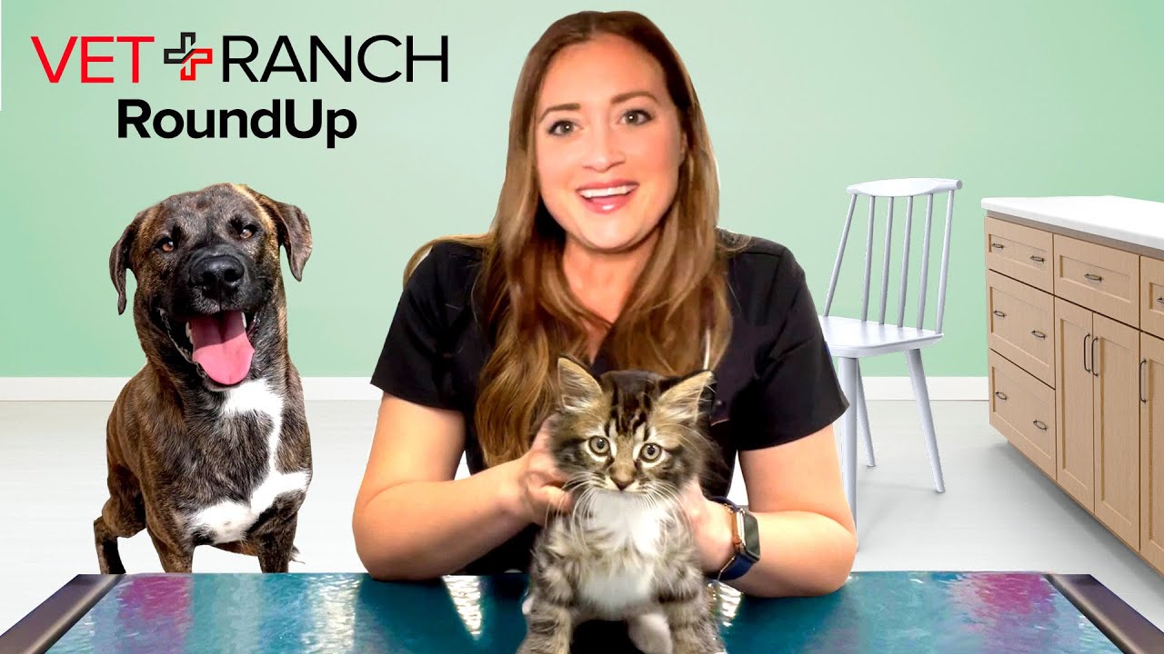 Guess which Vet Ranch Doc joins us this week??? - YouTube