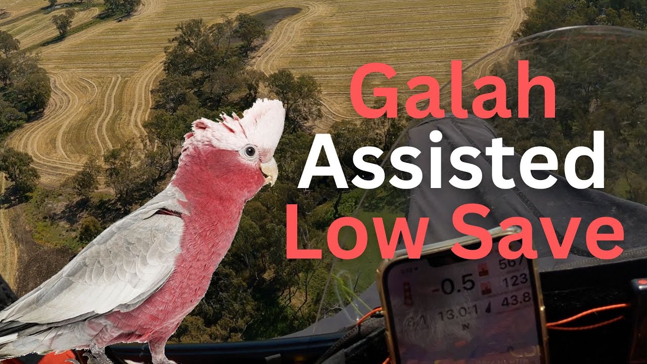 Galah assisted low save! - YouTube
