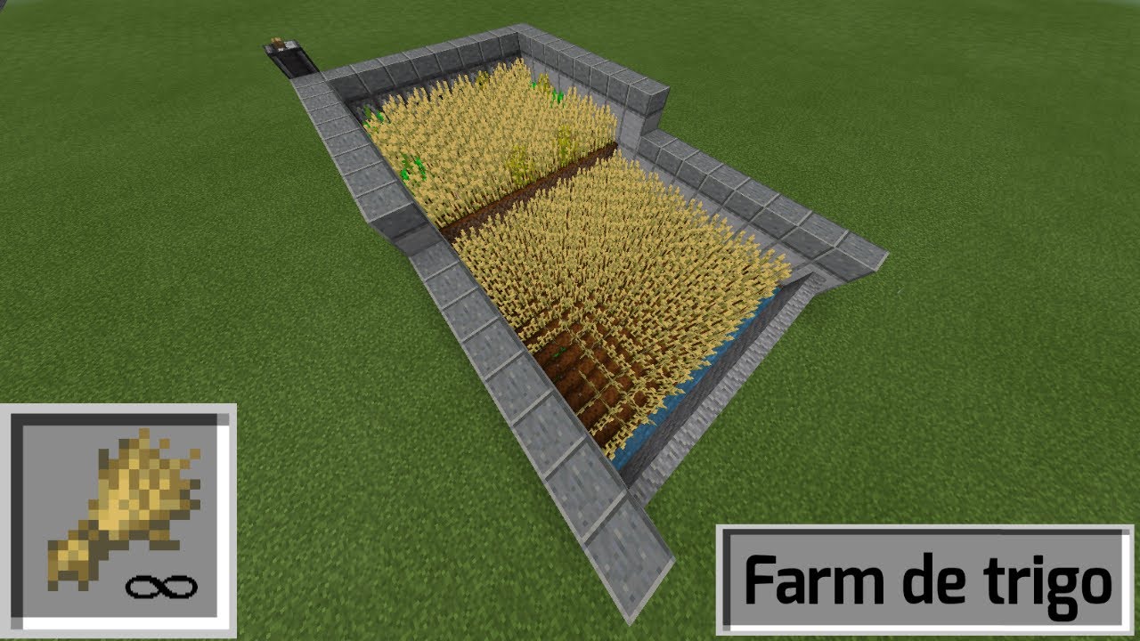 Como fazer uma Farm de trigo! - YouTube