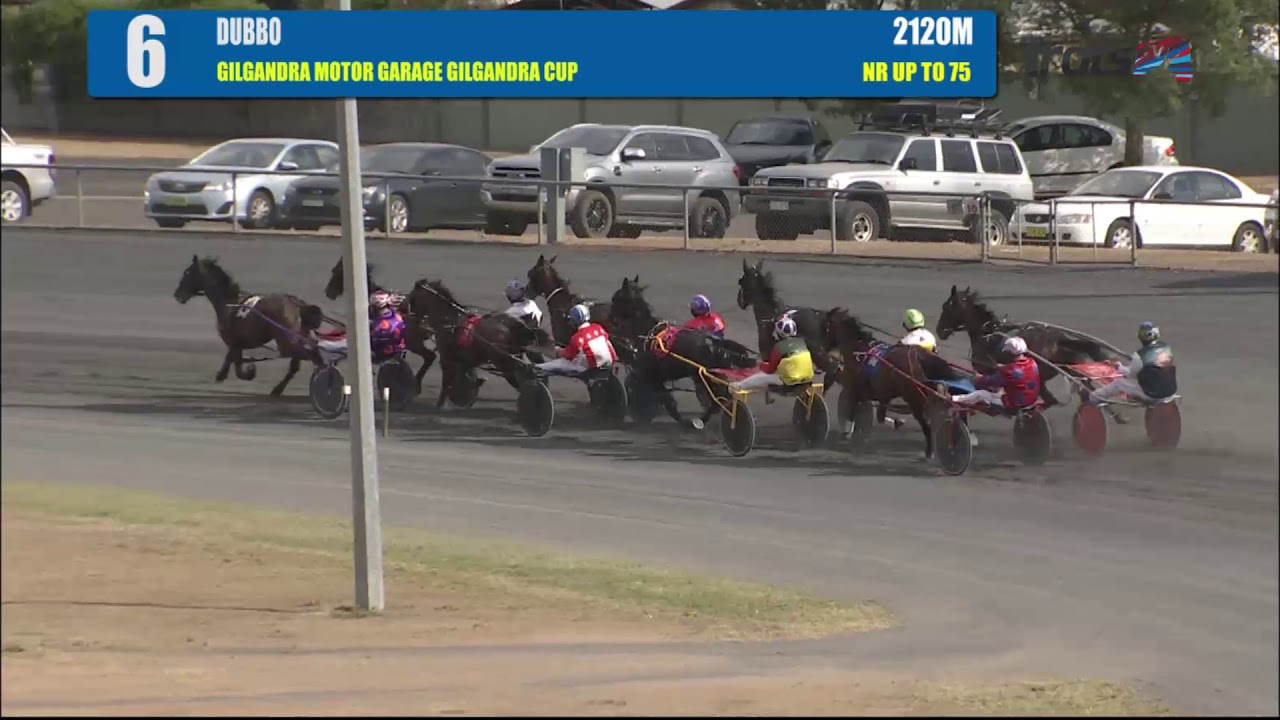 DUBBO - 24/11/2019 - Race 6 - GILGANDRA MOTOR GARAGE GILGANDRA CUP ...
