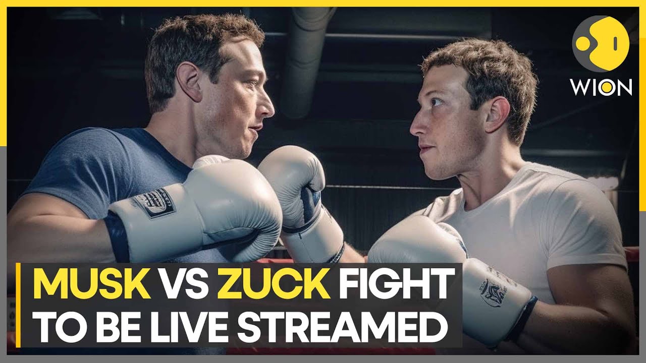 Musk vs Mark: Elon Musk tweets update on cage match with Meta owner ...