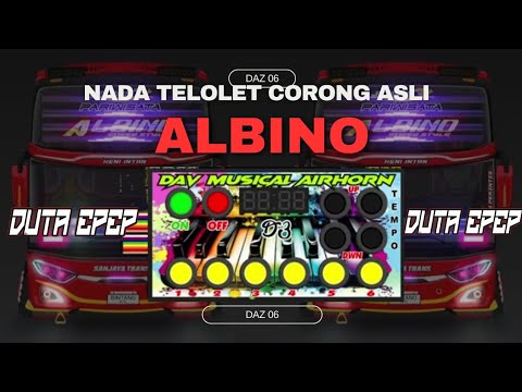 SAMPLE & FLM CORONG BASURI ASLI VECTOR ALBINO !!! SPESIAL 130 SUBS ...
