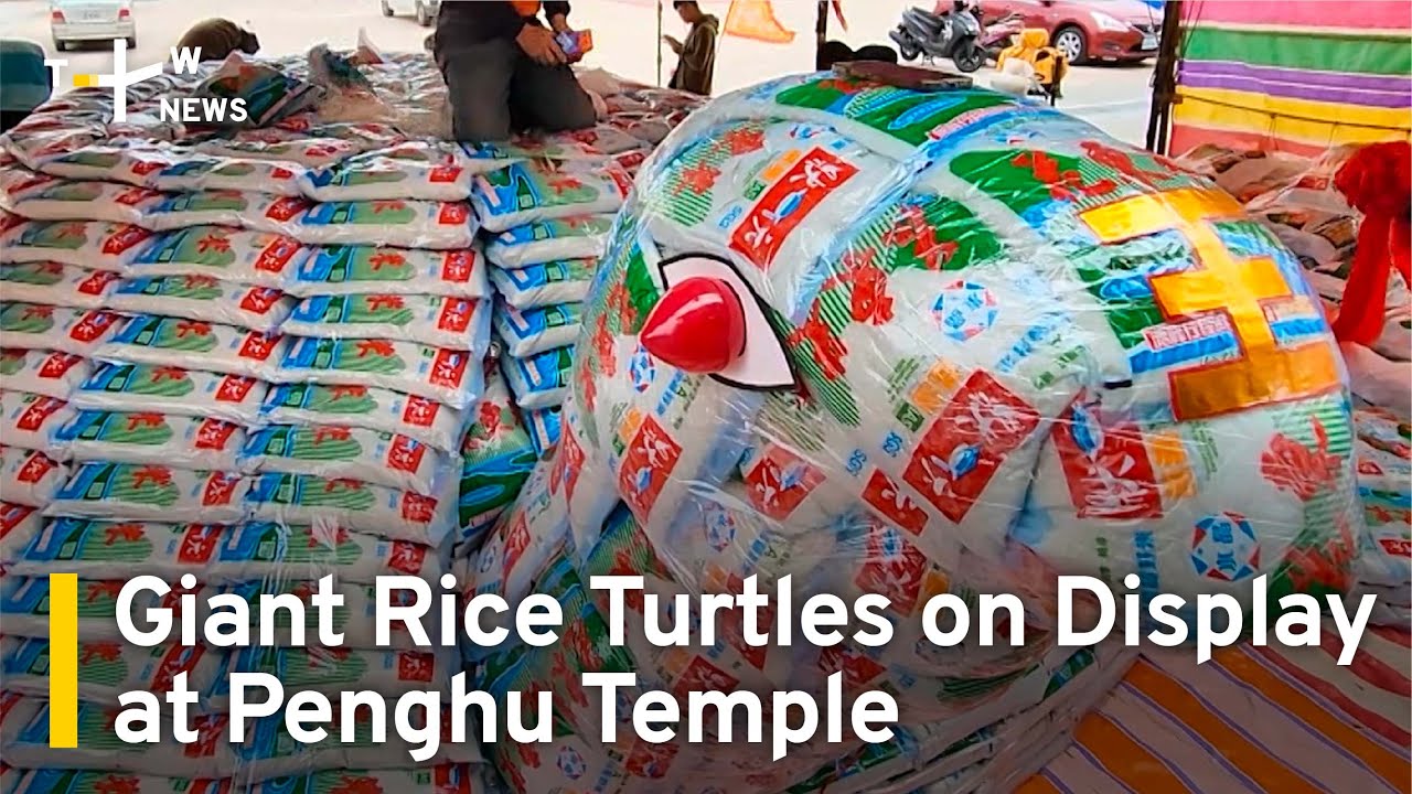Giant Rice Turtles on Display at Penghu Temple Ahead of Lantern ...