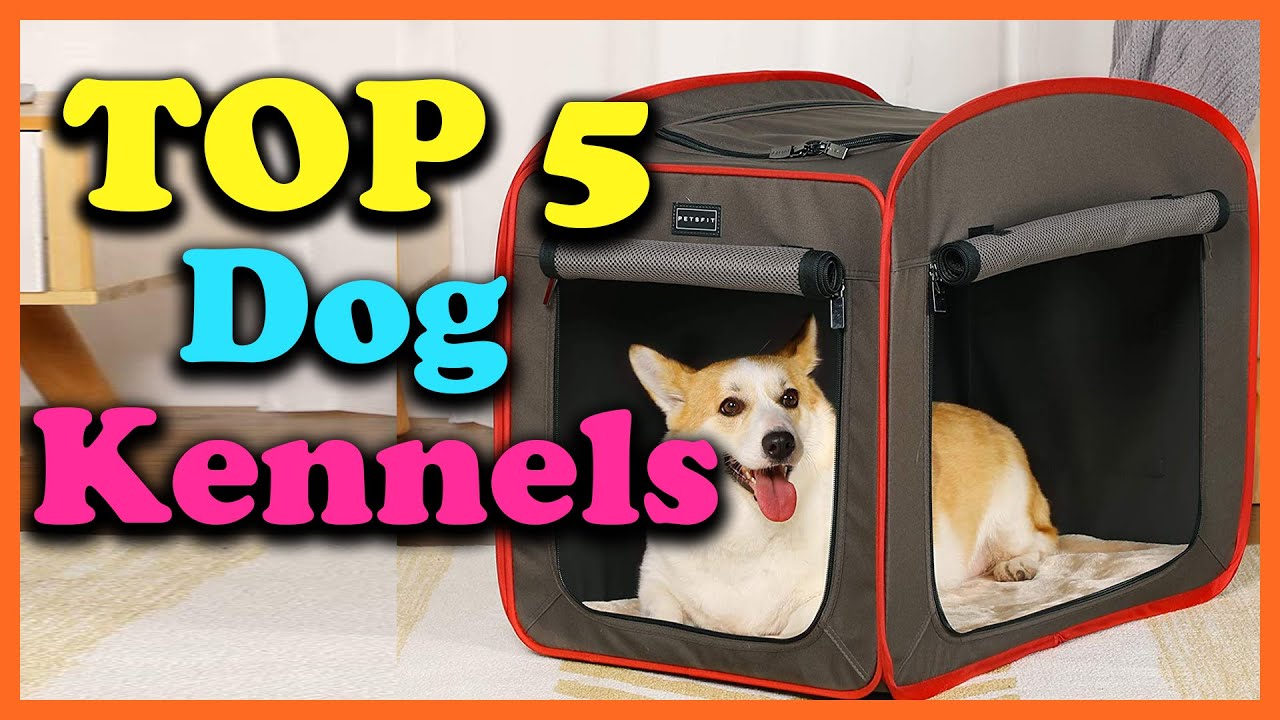 Top 5 Best Dog Kennels of 2021 - YouTube