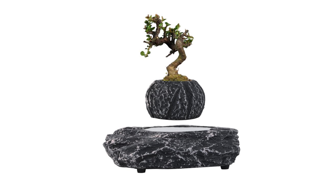 magnetic levitaiton floating bonsai with rock design - YouTube