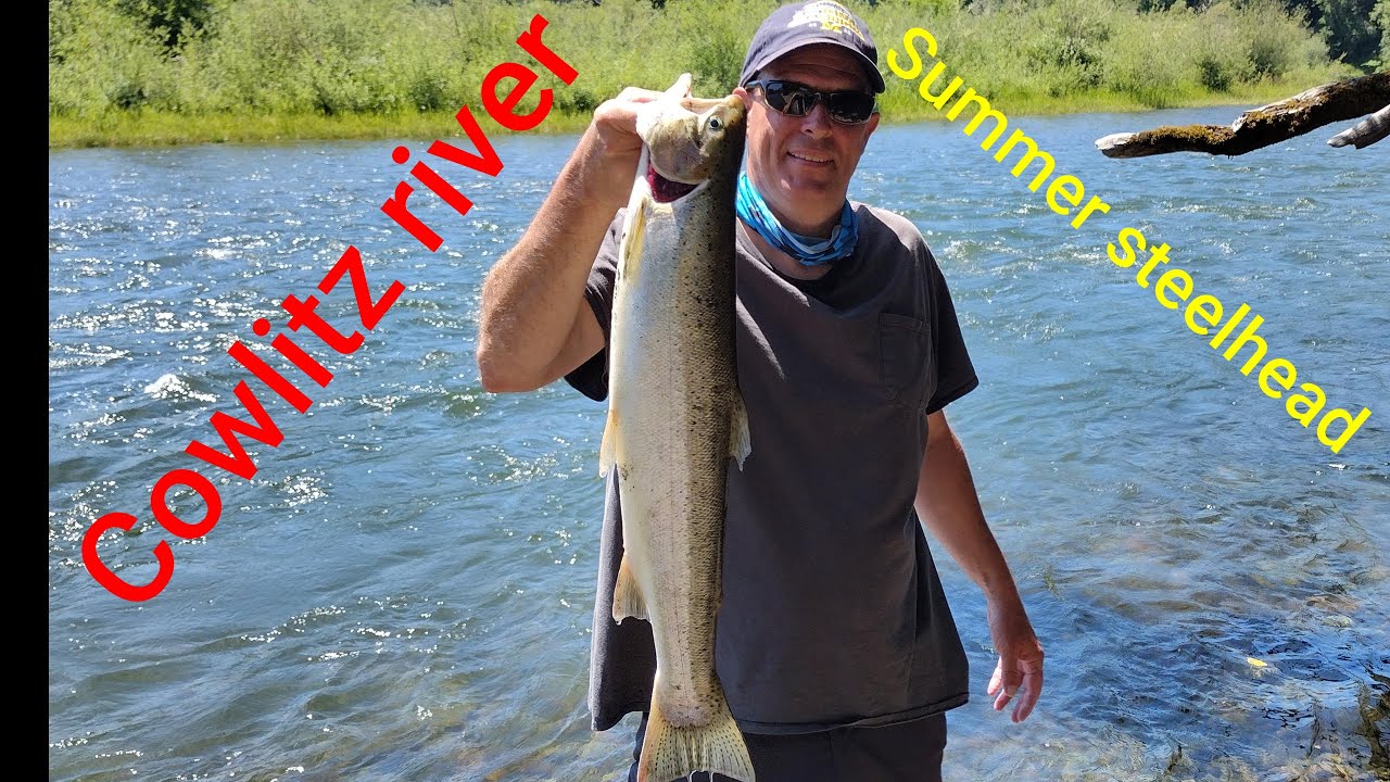 Cowlitz river Summer Steelhead after work run - YouTube