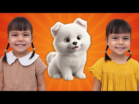 KÖPEKLER HAKKINDA ŞAŞIRTICI GERÇEKLER! 🐶 Neden En İyi Dostumuzlar?