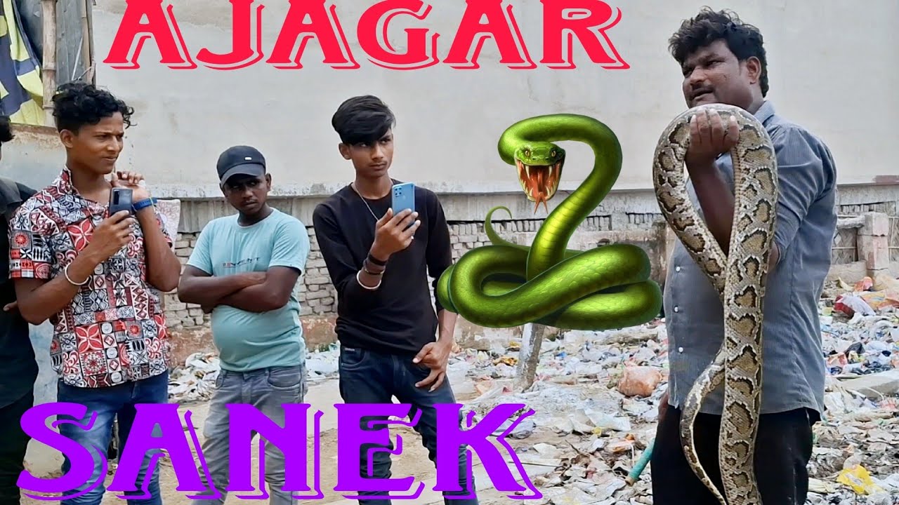 Ajagar Sanek || Madari Khel || #sanek_video_कमेन्ट_फोलो_शेयर_दोस्तों ...