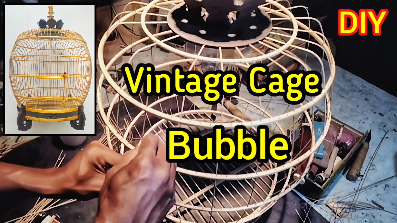 Making a Bubble Cage for a Mystery Bird - YouTube
