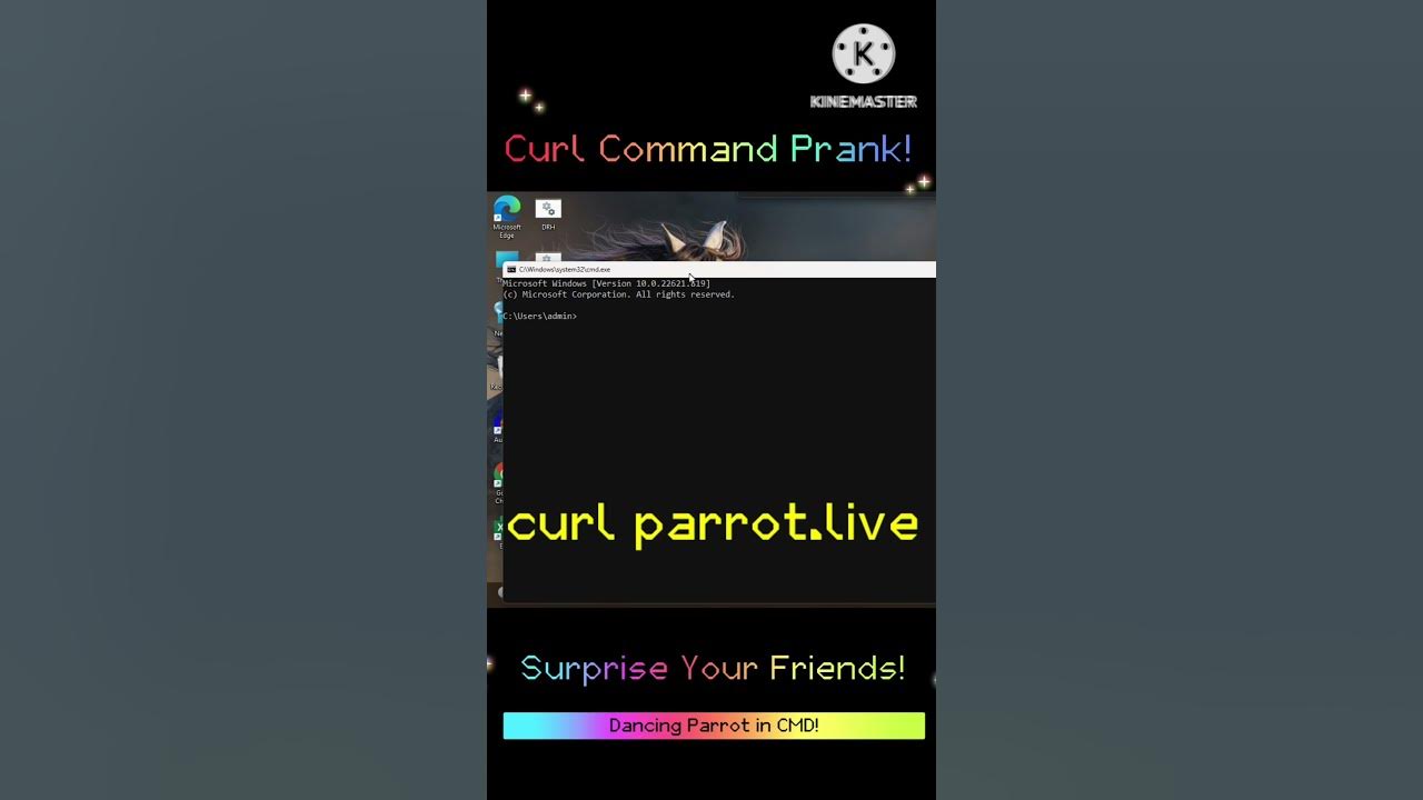 Curl Command Prank Dancing Parrot In Your Cmd Shorts Prank Youtube