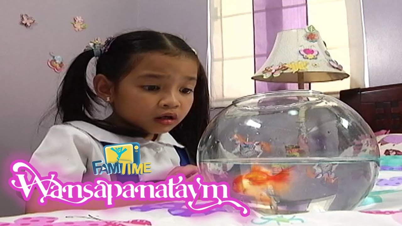 Si Pam Pabaya at ang Mahiwagang Gold Fish | Highlights | Wansapanataym ...