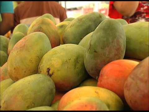 SANTO DOMINGO INVITA - FERIA DEL MANGO 2012 - YouTube