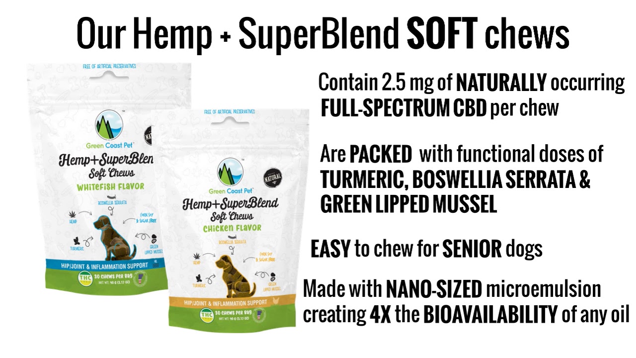 Green Coast Pet CBD Chews - YouTube
