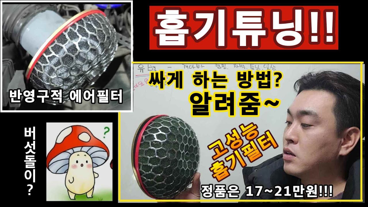 흡기튜닝 정말 싸게 고성능흡기필터로 유별에서 알려줍니다 자동차튜닝 흡기필터 에어필터 에어인테이크 튜닝필터 오픈필터 버섯돌이 유별모터스 유별채널 Youtube